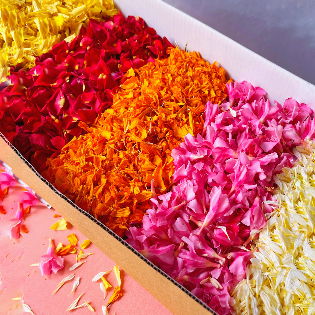 Rangoli Box – Shades of Spring