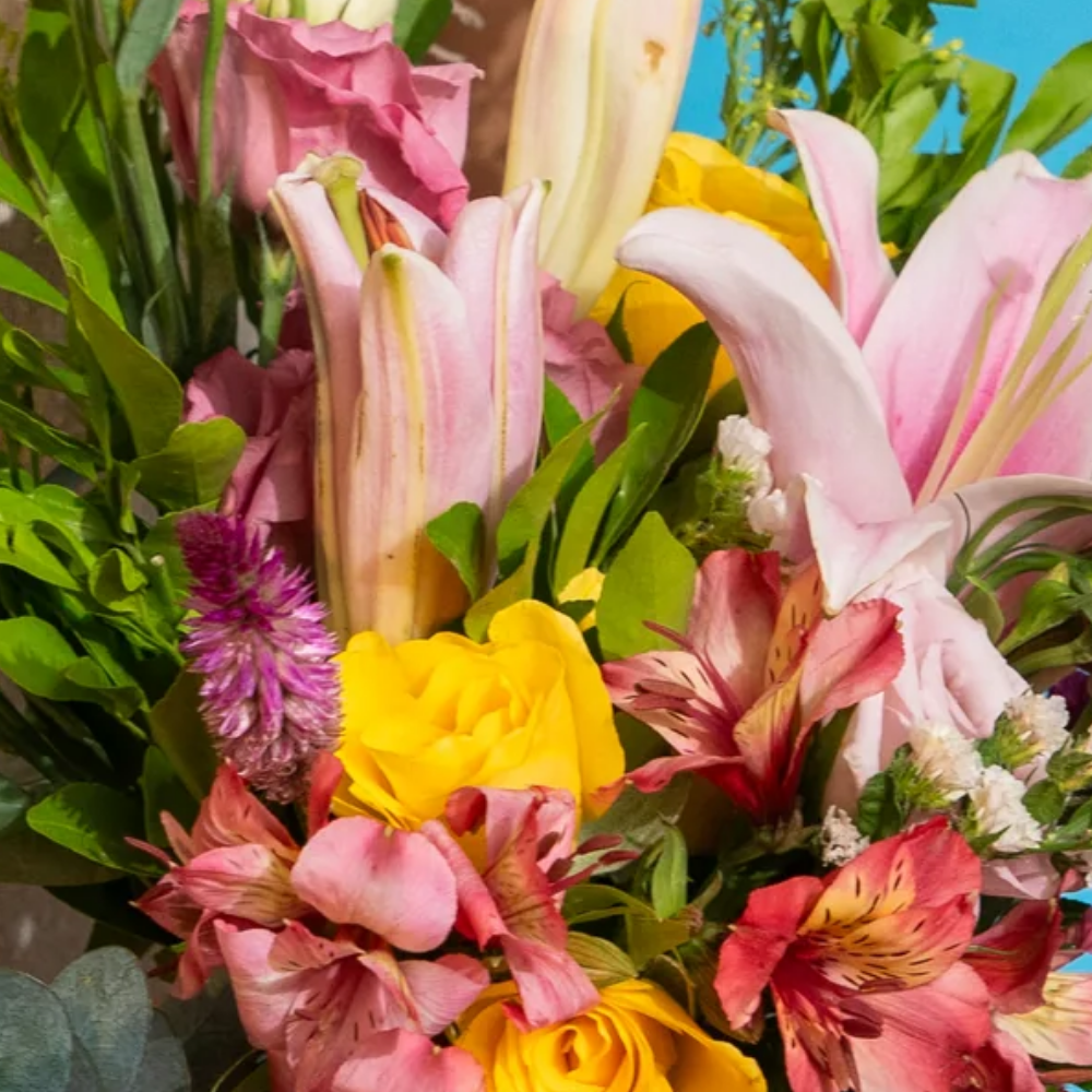 Blushing Beauty – Shades of Spring
